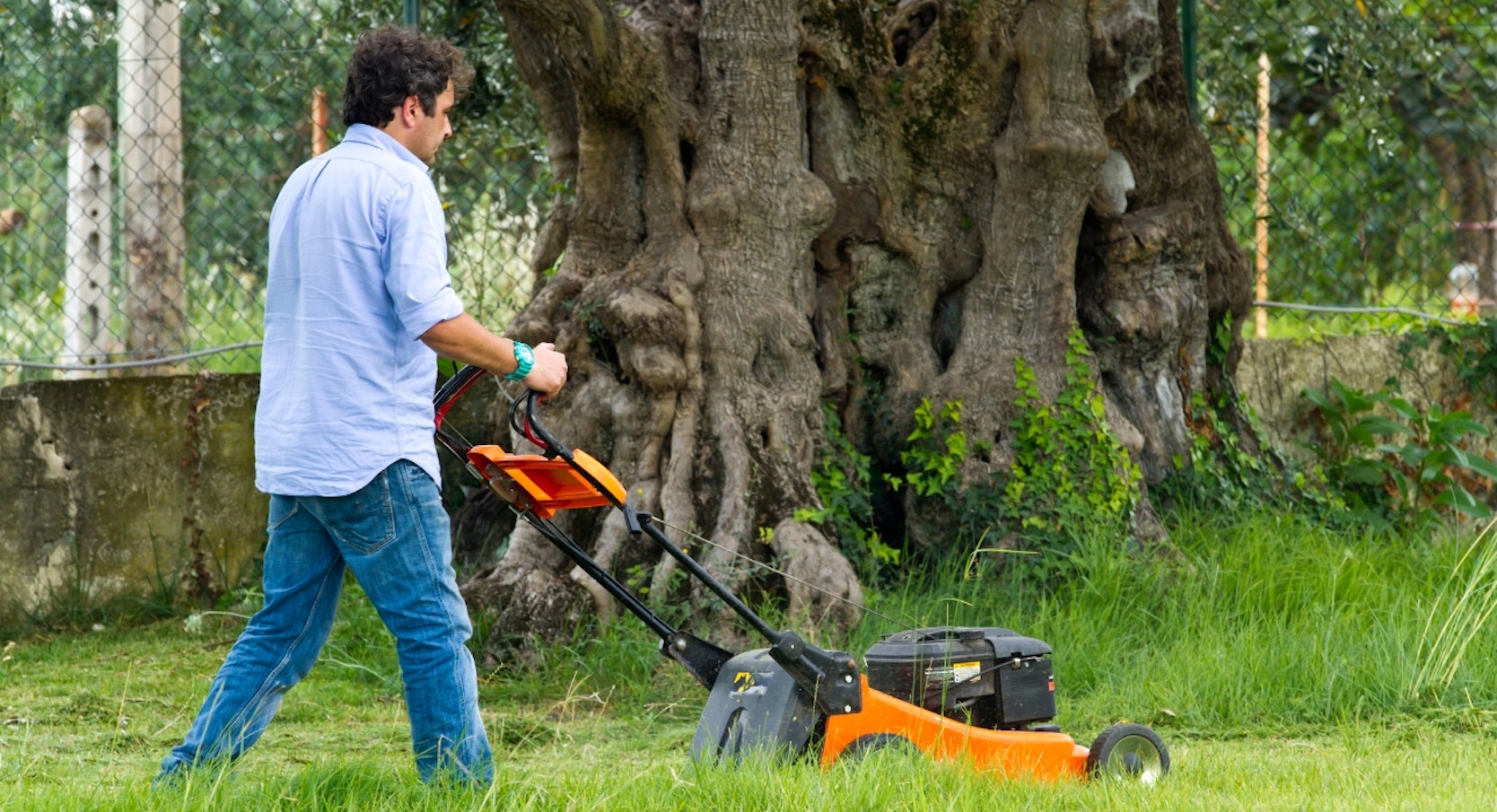 Lawn mowers: expert reviews, buying guide and advice