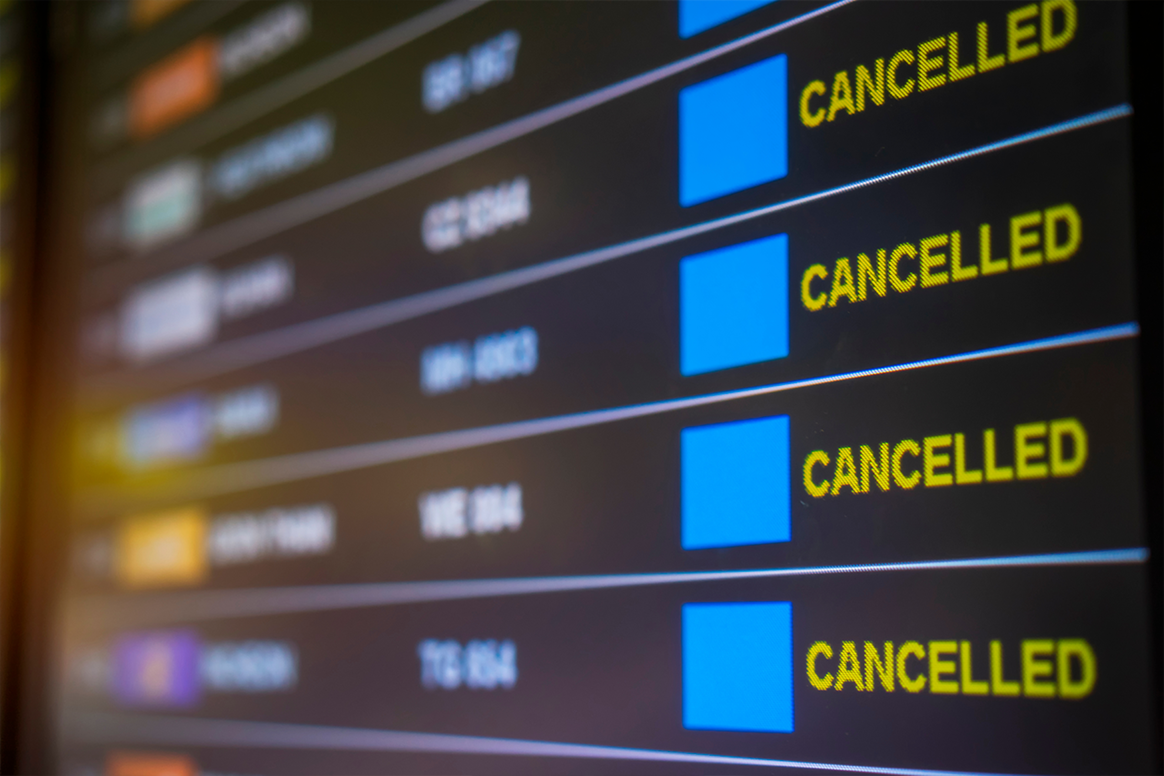 Thousands call for government-led clarity over flight rights