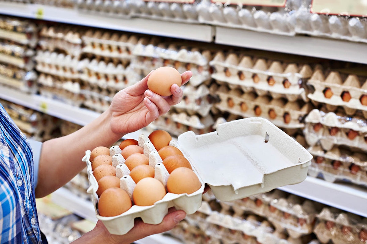 New salmonella bug makes runny yolks a no-no — Consumer NZ