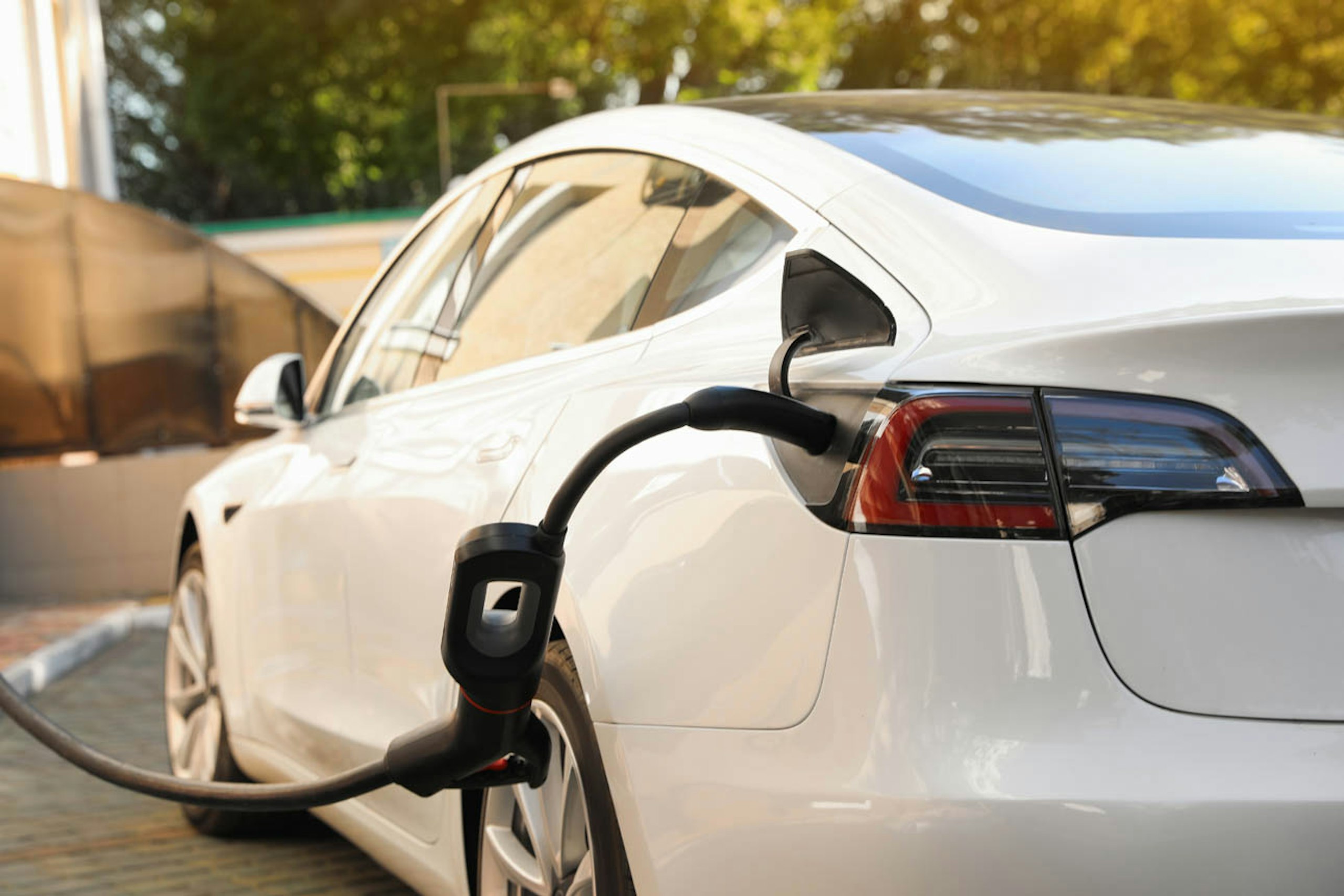 All your questions about petrol prices, answered
