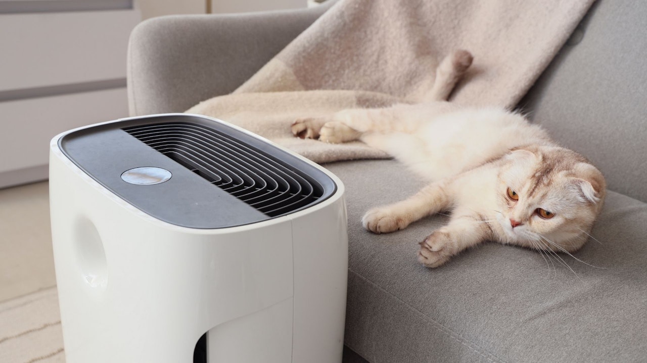 Air purifiers — Consumer NZ